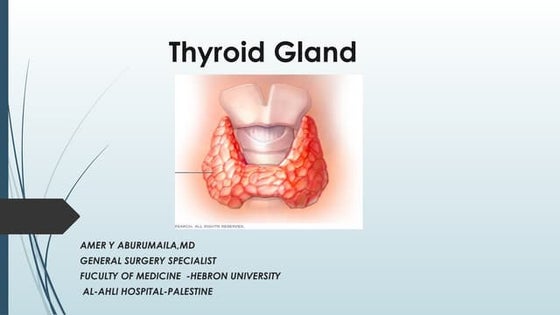 Thyroid Gland Anatomy Ppt Untitled