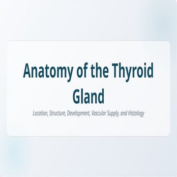 Thyroid Gland Anatomy - Modern Design (1).pptx