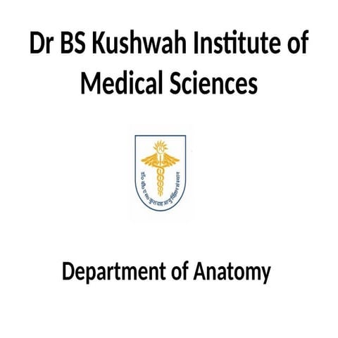 Development of Thyroid Gland (Special Embryology) | PPS