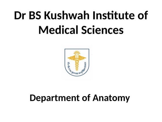 Development of Thyroid Gland (Special Embryology) | PPS