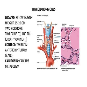 Thyroid hormones | PPTX