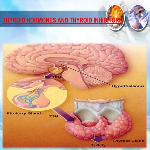 Thyroid & antithyroid drug | PPTX