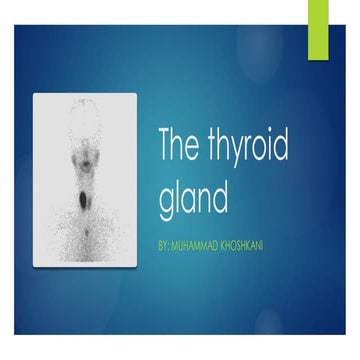 the thyroid gland embryology, anatomy, and physiology. | PDF
