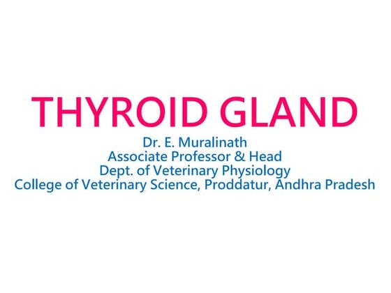 Slides_Thyroid_Endocrine_System.pdf