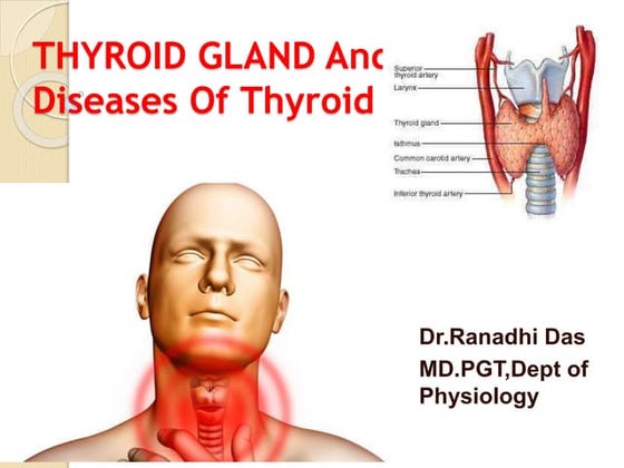 Synthesis of thyroid hormones | PPTX