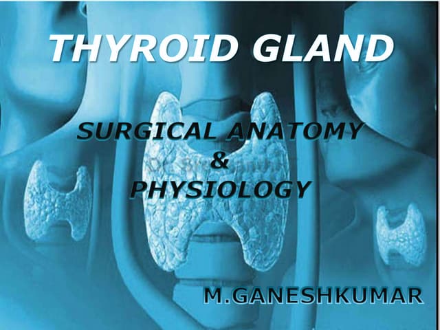 Thyroid gland anatomy | PPTX