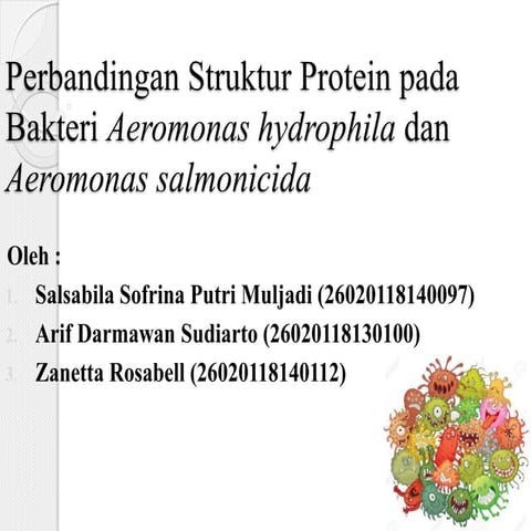 Kelompok 9 Perbandingan Struktur Protein pada Bakteri Aeromonas hydrophila dan Aeromonas ...