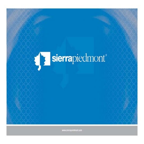 Environmental Best Management Practices for the Tire/Service Station ...