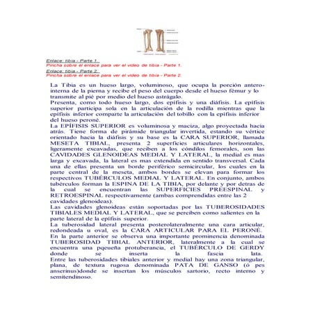 Tibia y perone | DOCX