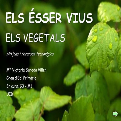 Els éssers vius. Els vegetals | PPTX
