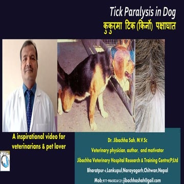 Tick paralysis in dog-Dr.jibachha Sah,M.V.SC