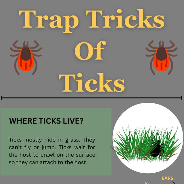 Trap Tricks Of Ticks | PDF