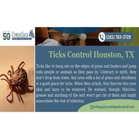 Ticks Control Houston, TX | commercial Pest Control Houston | PPT