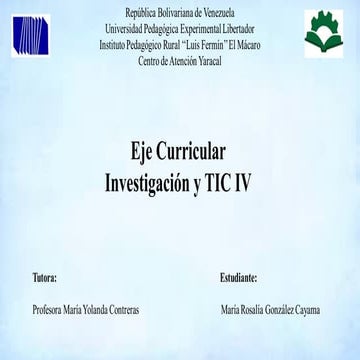 La informática en los Ejes curriculares de la investigación y Tic IV | PPTX