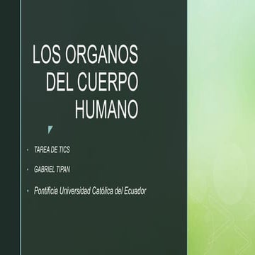 ORGANOS DEL CUERPO HUMANO | PPTX