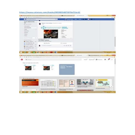 Tics debeerr (1) | DOCX