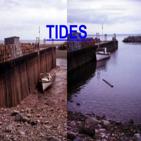 Tide ce year 3 phase i | PPT