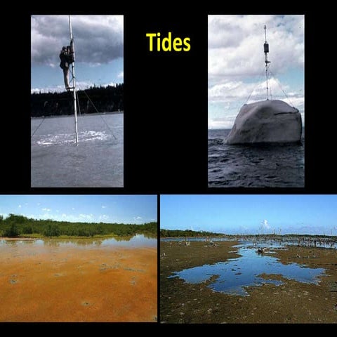 Tides | PPT
