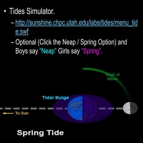 Tides, Neap Tide, Spring Tide, Astronomy Lesson PowerPoint | PPTX