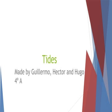 Vocabulary- Adelina's Whales | PPT