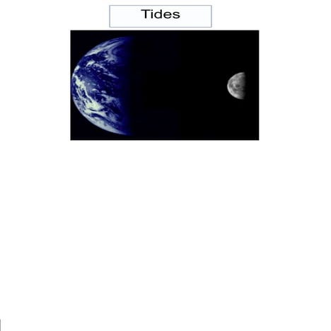 The Moon and Tides - Spring vs. Neap Tides | PPTX