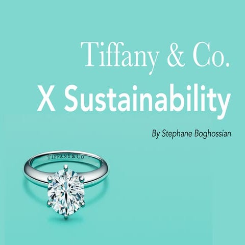 Tiffany & co - sustainability report | PDF