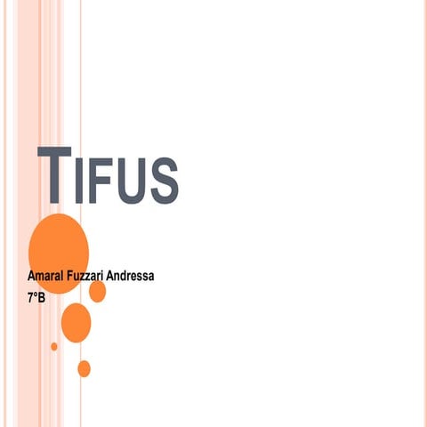 Tifus | PPTX