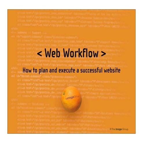 Developing Effective Website | PDF