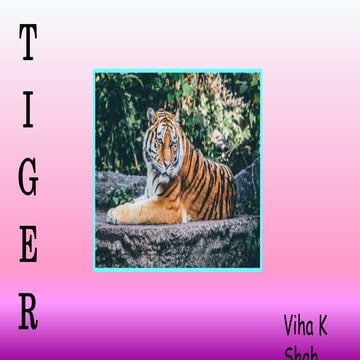 Tiger.pptx
