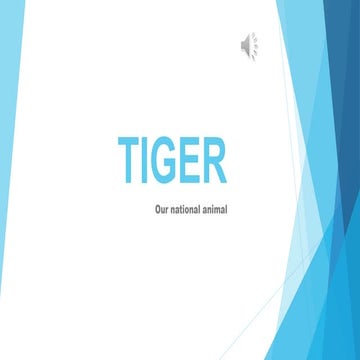 TIGER.pptx