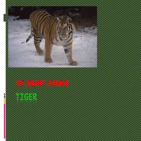 Adaptation-of-Tigers-to-Tropical-Environments-The-Malayan-Tiger.pptx
