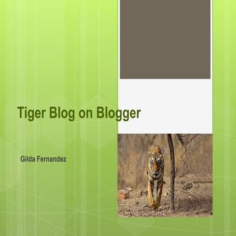 Tiger blog | PPT