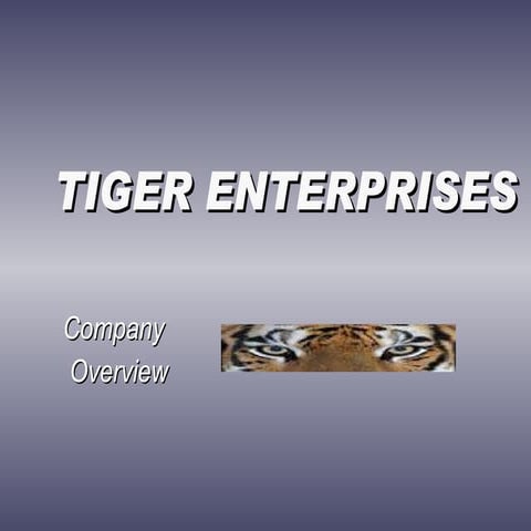 Tiger Company Presentation 10 09 | PPT