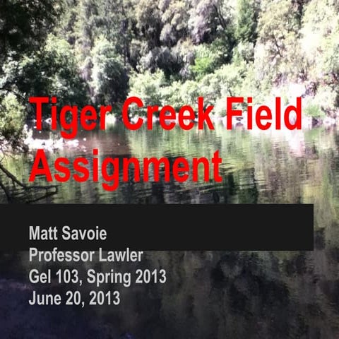 Amanda stone field assignment | PPTX