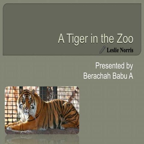 Tiger in the zoo | PPTX