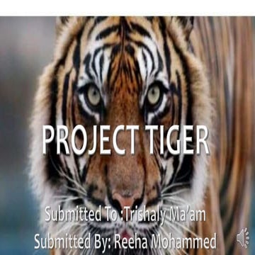 Tiger ppt | PPTX