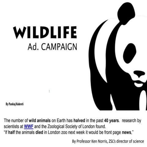 WWF Animal Conservation Presentation | PPT