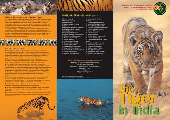 Tiger-project for High School Students | PPTX | Zoos & Aquariums ...