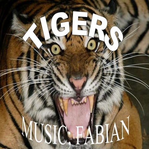 Tigers | PPS | Email | Internet