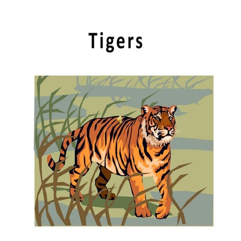 Tigers | PPTX