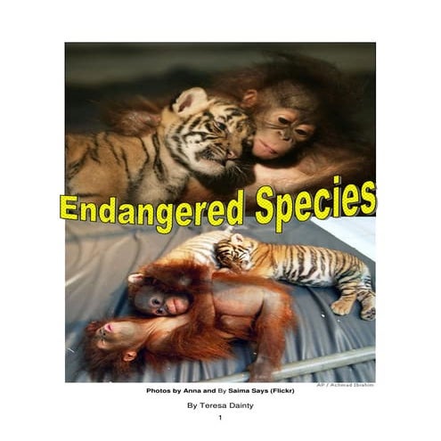 10 Top Iconic Tigers and tigresses of India | DOCX