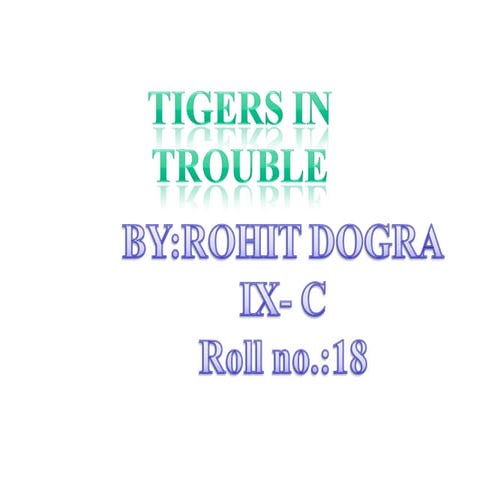 Tigers in trouble | PPT