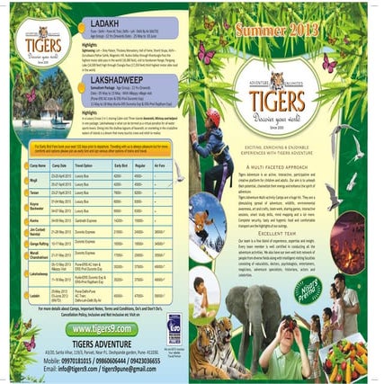 Tigers summer camp 2013 brochure | PDF
