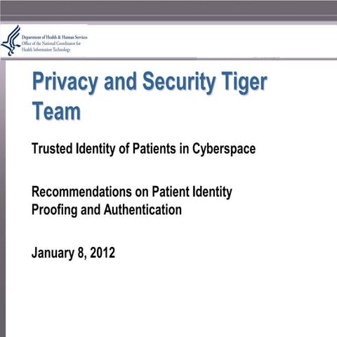 Privacy and Security Tiger Team 010813 | PDF