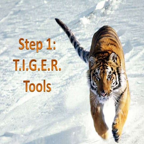 Tiger Tools for WOB | PPT