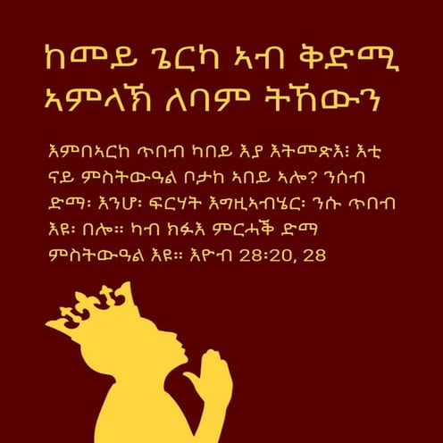 Tigrinya True Wisdom Tract.pdf