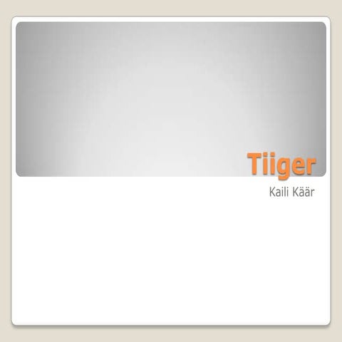 Tiiger | PPTX
