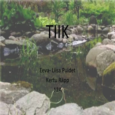 Tiik(uus) | PPTX