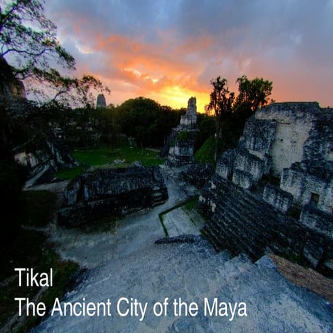 Tikal-The Ancient City of the Maya | PPT