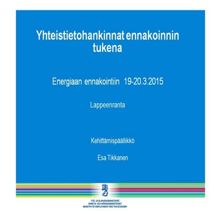 Tutkijapalvelut, Sanni-Sandra Hellman | PDF